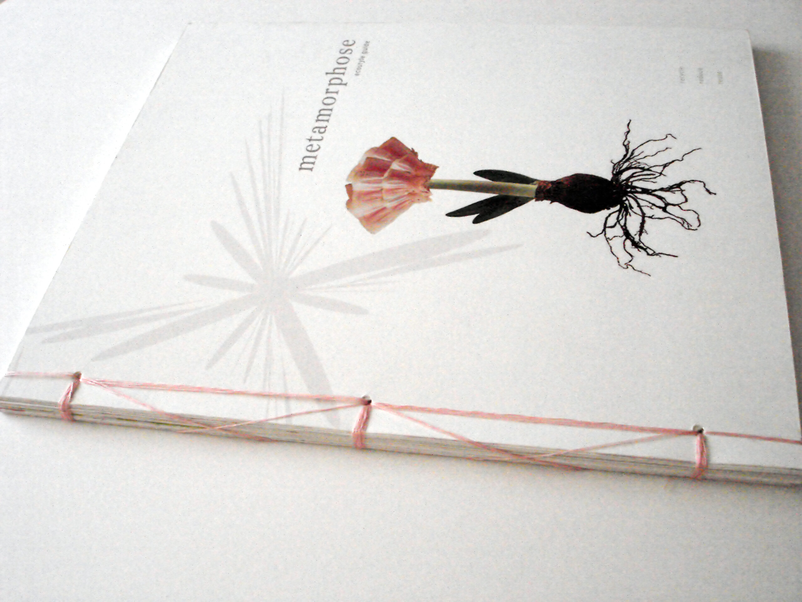 metamorphose - screamingviolet.com